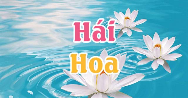 Game Hái hoa - Game Vui