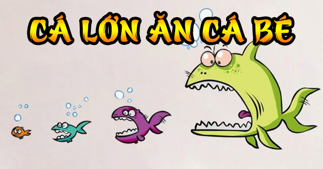 Game Cá lớn ăn cá bé - Game Vui